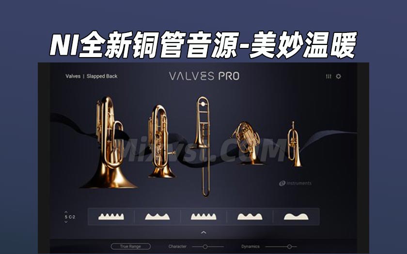 美妙温暖的铜管音源Native Instruments – Valves Pro KONTAKT - Mixvst